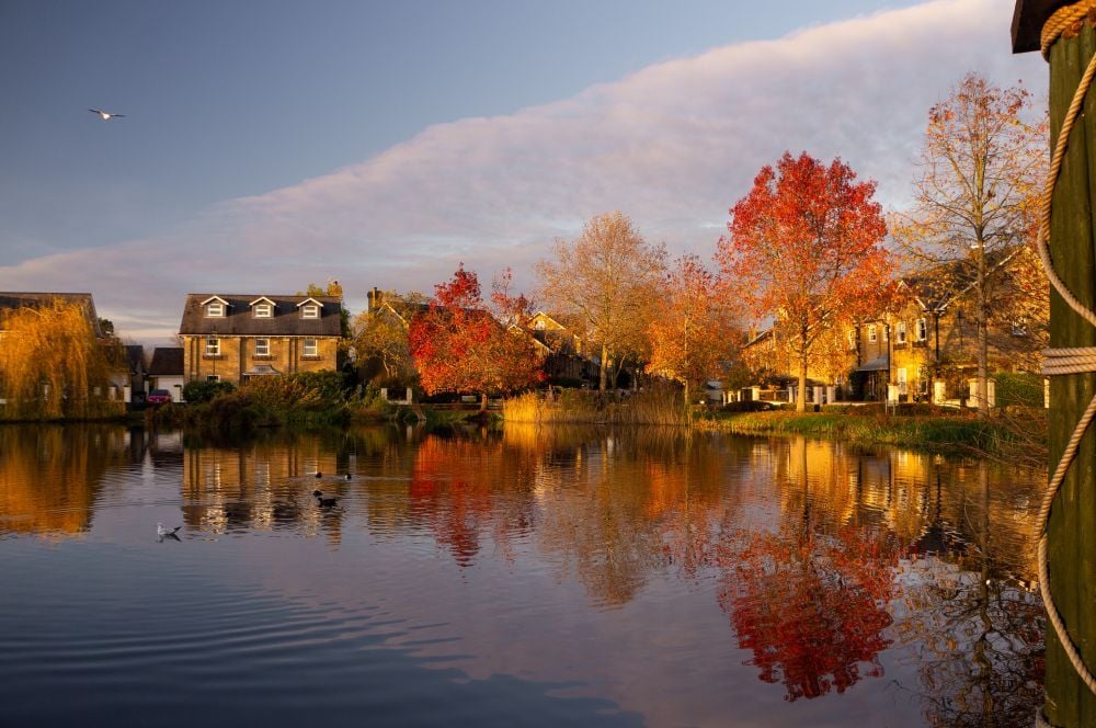 Things to Do in Barnes – The Best Activities